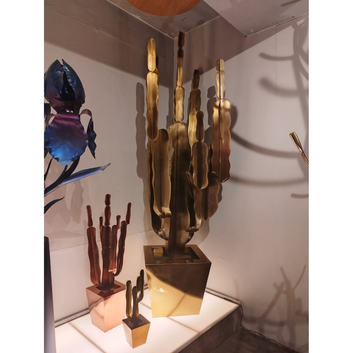 Cactus - Crate Packing | Safe Shipping – Kadari Art Gallery