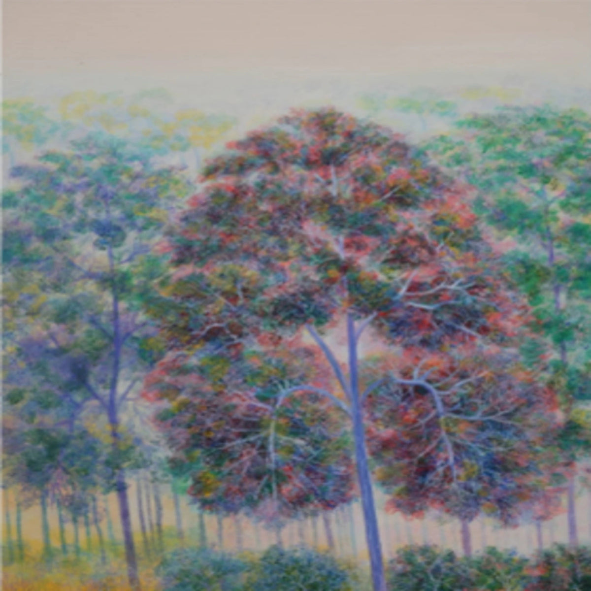Buy Kishore Kumar - Forest Splender at Kadari Art Gallery
